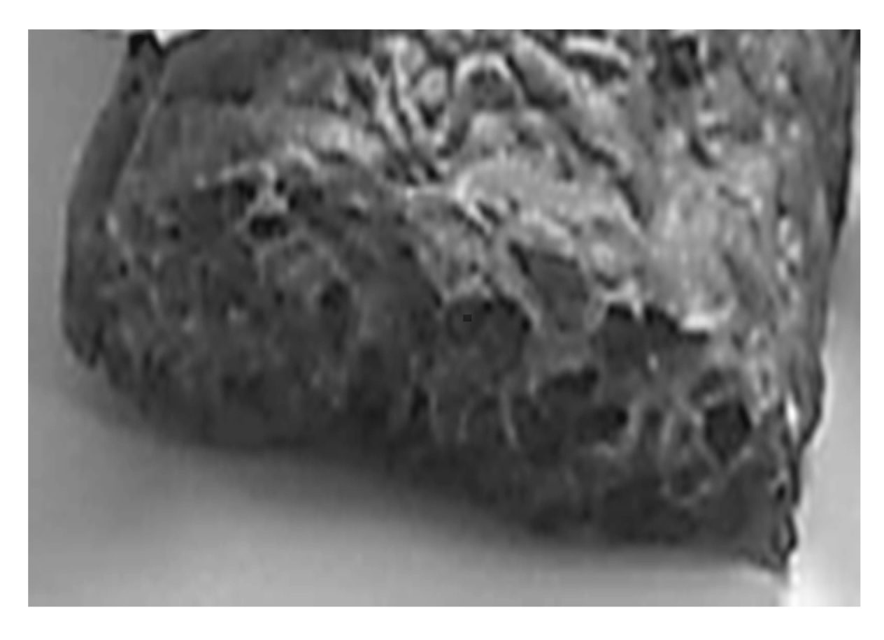 Novel Extruded Starch-Beet Pulp Composites for Packaging Foams
