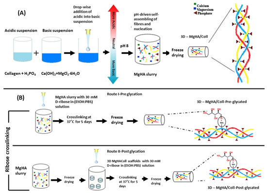 Biologically Inspired Collagen/Apatite Composite Biomaterials for ...