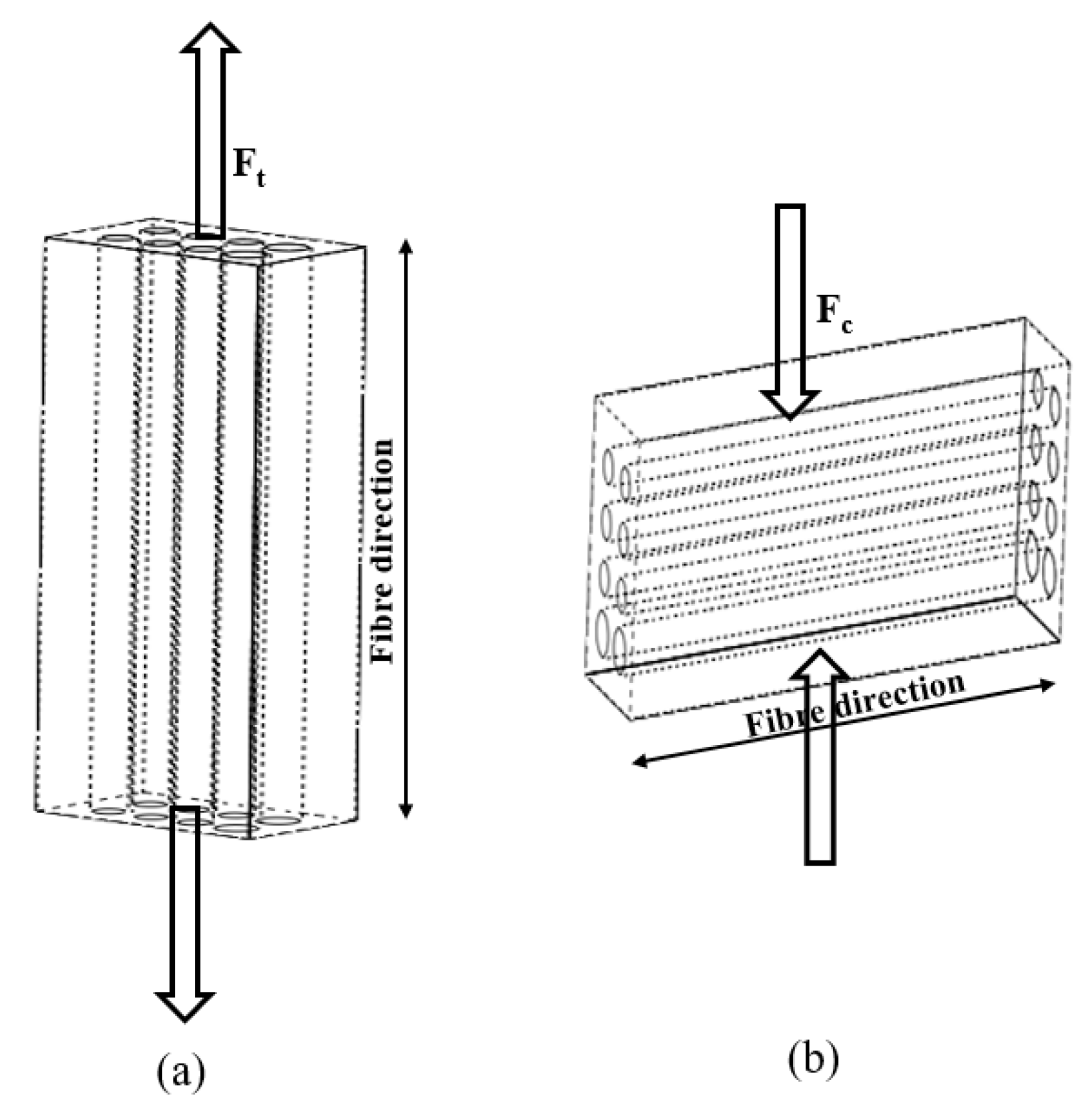 Functional Characteristics and Mechanical Performance of PCU Composites ...