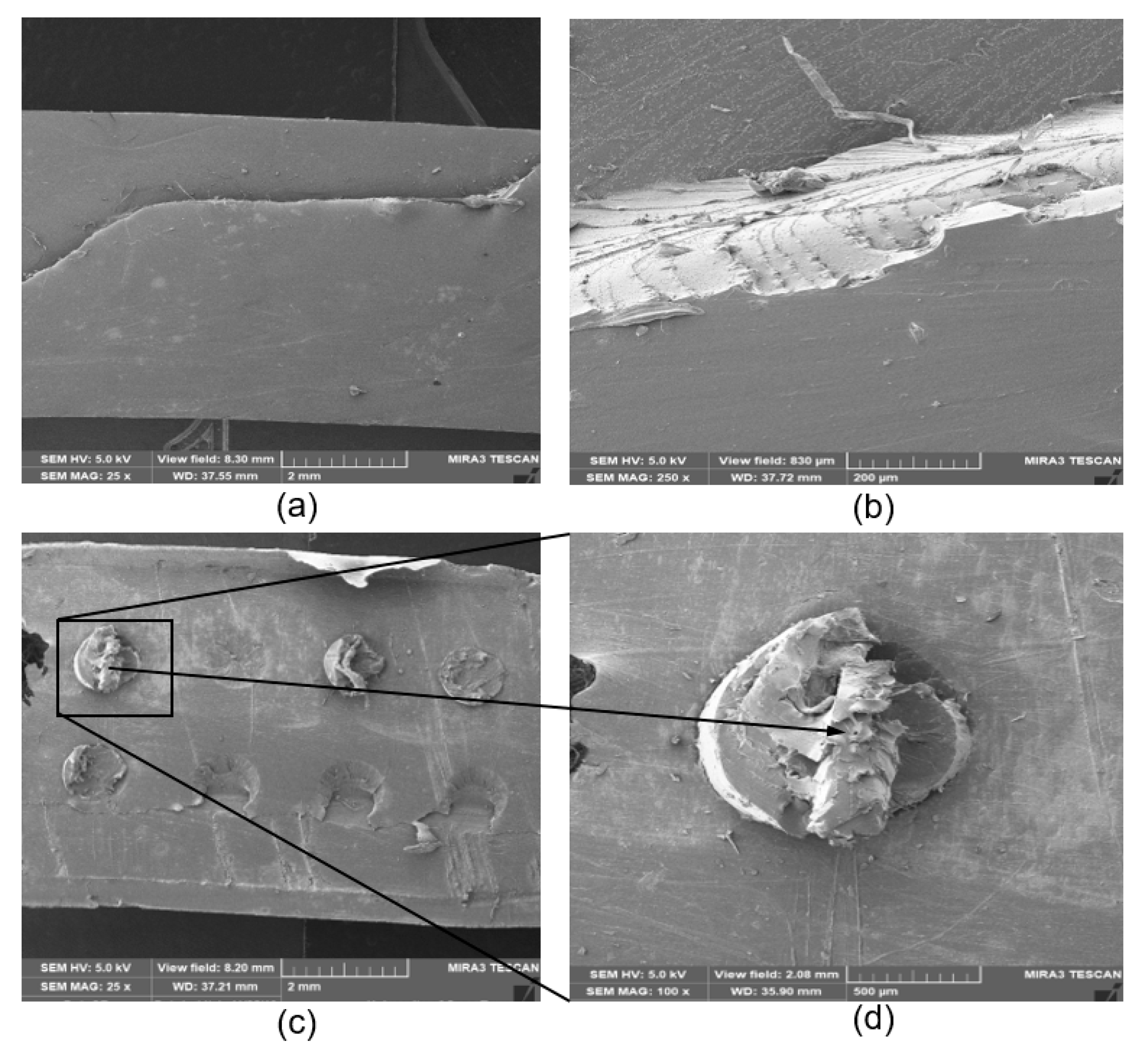 Functional Characteristics and Mechanical Performance of PCU Composites ...