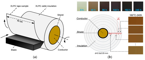 Influence of Oxygen Diffusion on Thermal Ageing of Cross-Linked ...