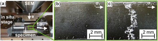 In Situ Characterization of Damage Development in Cottonid Due to Quasi ...
