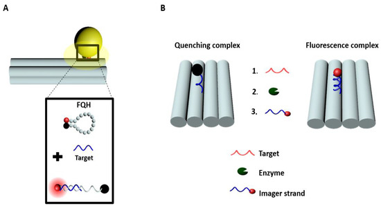 DNA Origami as Emerging Technology for the Engineering of Fluorescent ...