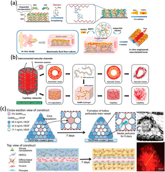 3D Bioprinting for Vascularized Tissue-Engineered Bone Fabrication
