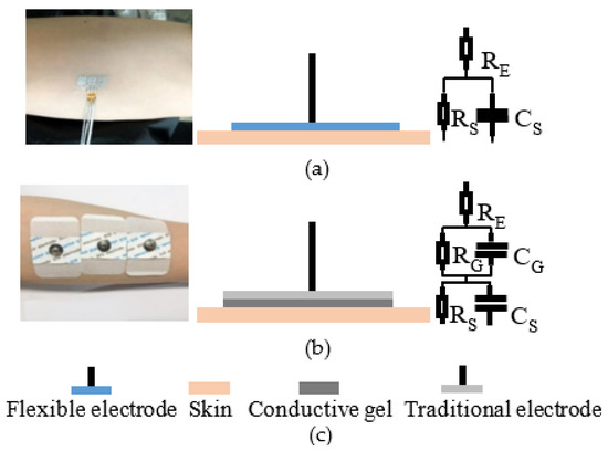Flexible Electrode by Hydrographic Printing for Surface ...