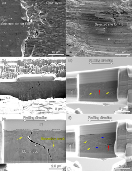 The Evolution of Fretting Wear Behavior and Damage Mechanism in Alloy ...