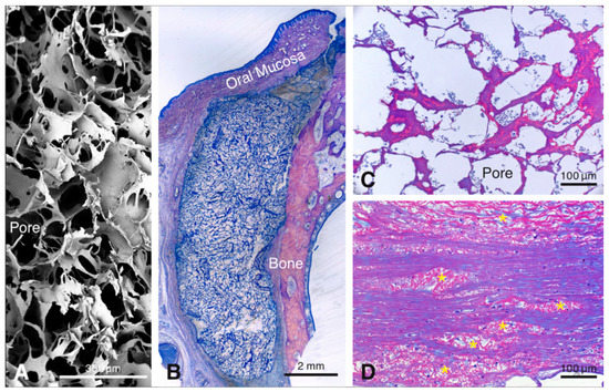 Tissue Integration and Degradation of a Porous Collagen-Based Scaffold ...