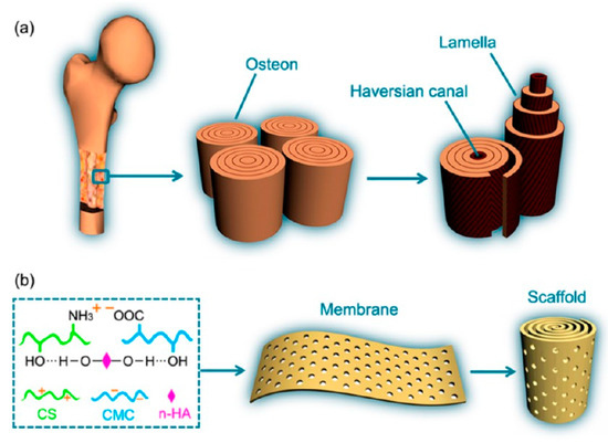 Materials | Special Issue : Advanced Composite Biomaterials Materials | Special Issue : Advanced Composite Biomaterials