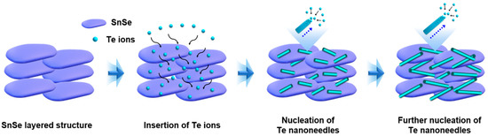 Te Nanoneedles Induced Entanglement and Thermoelectric Improvement of SnSe