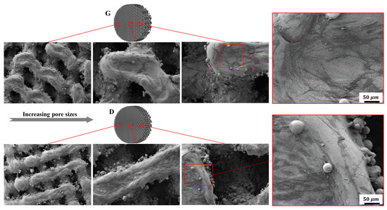 Additively Manufactured Continuous Cell-Size Gradient Porous Scaffolds ...