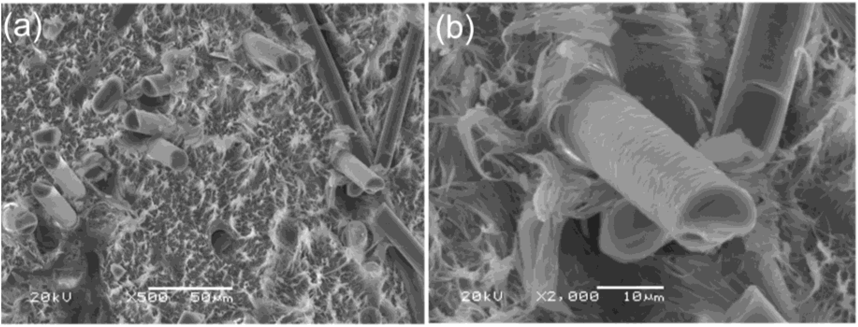 Materials | Free Full-Text | Bio-Based Polyethylene Composites with ...