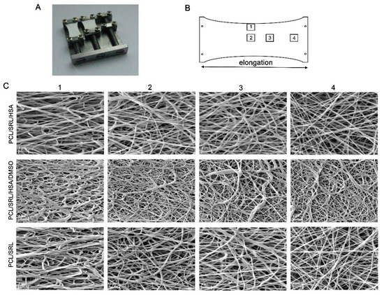 Sirolimus-Eluting Electrospun-Produced Matrices as Coatings for ...