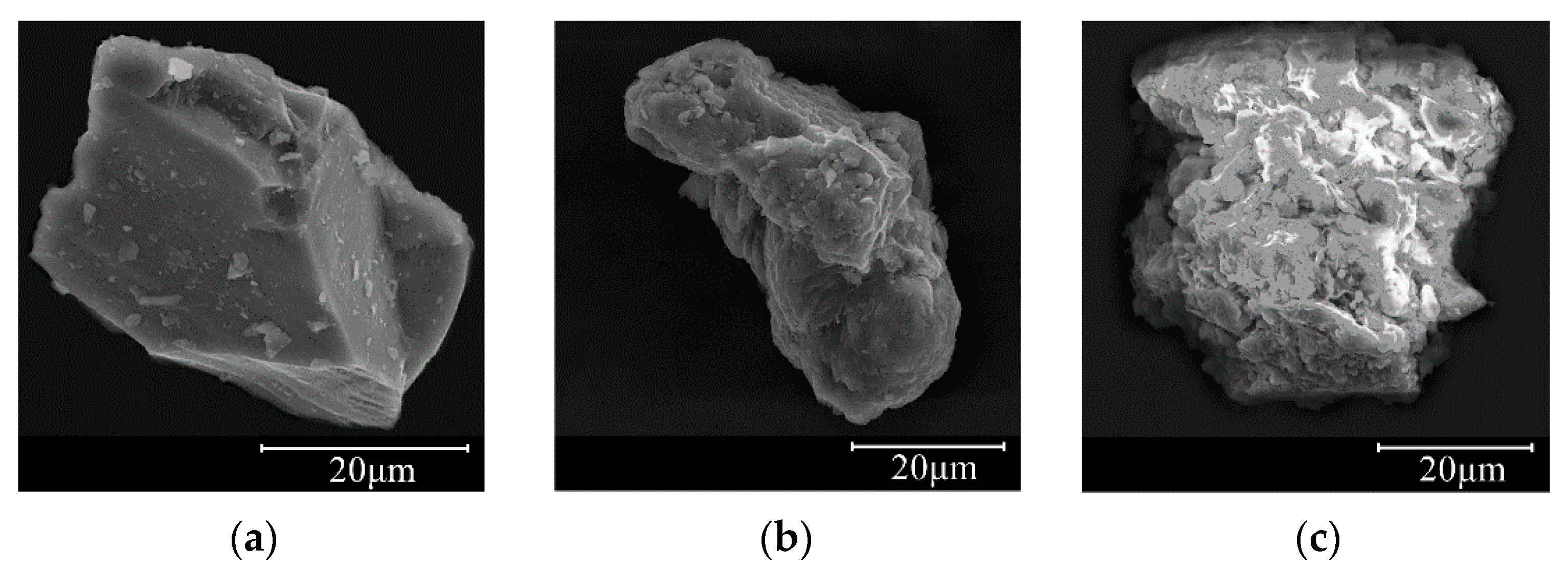 Characteristics and Mechanisms of Asphalt–Filler Interactions from a ...