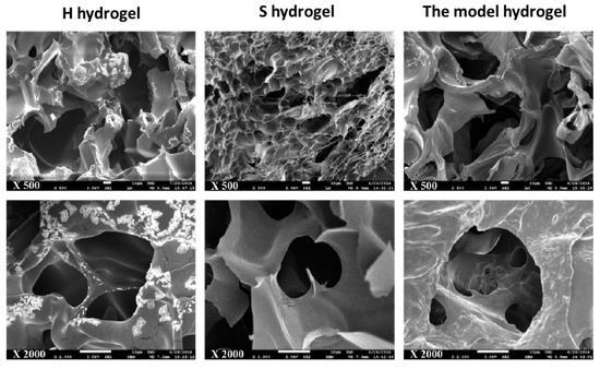Roles of Silk Fibroin on Characteristics of Hyaluronic Acid/Silk ...