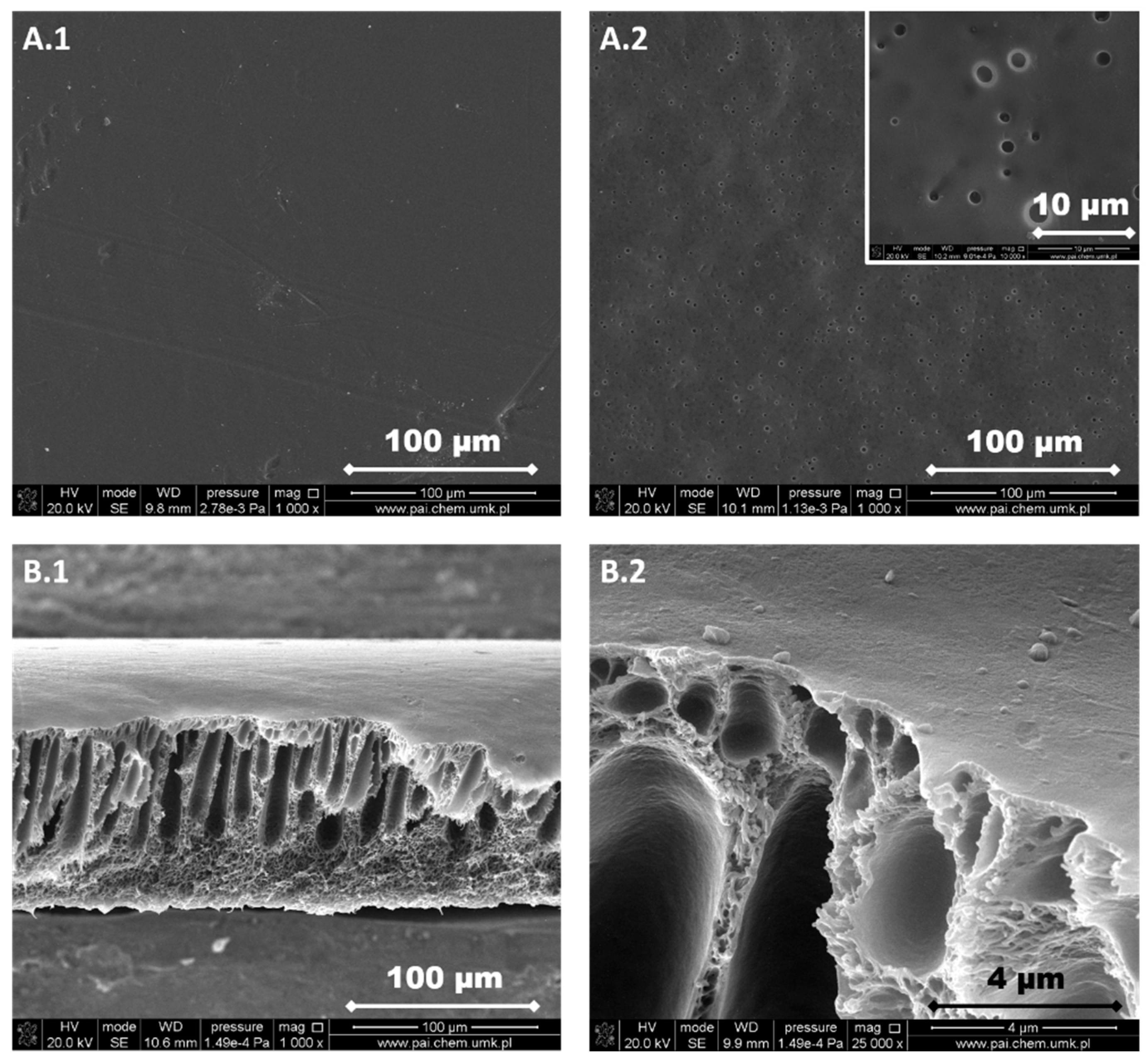 Preparation and Characterization of Polyphenylsulfone (PPSU) Membranes ...