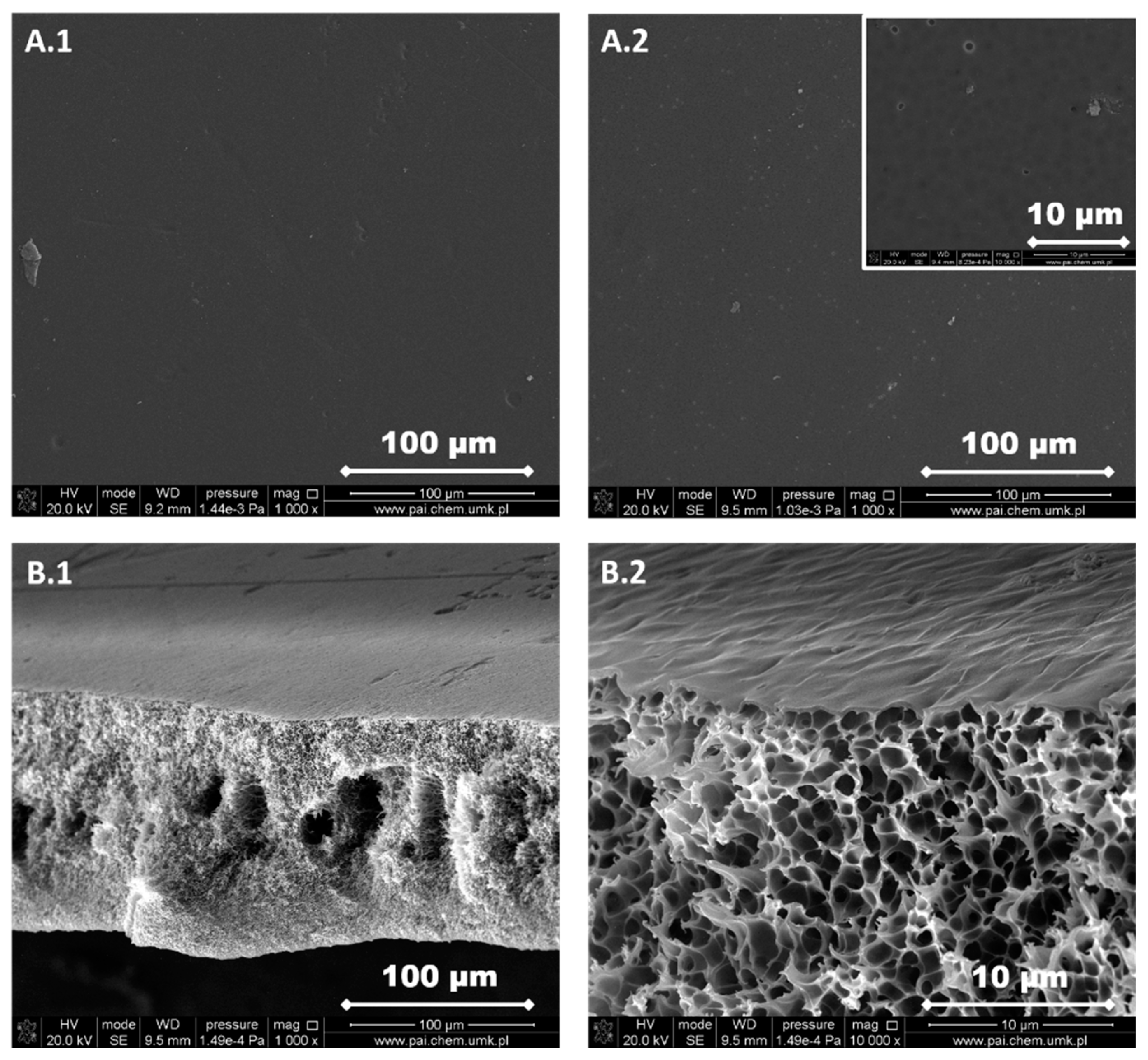 Preparation and Characterization of Polyphenylsulfone (PPSU) Membranes ...