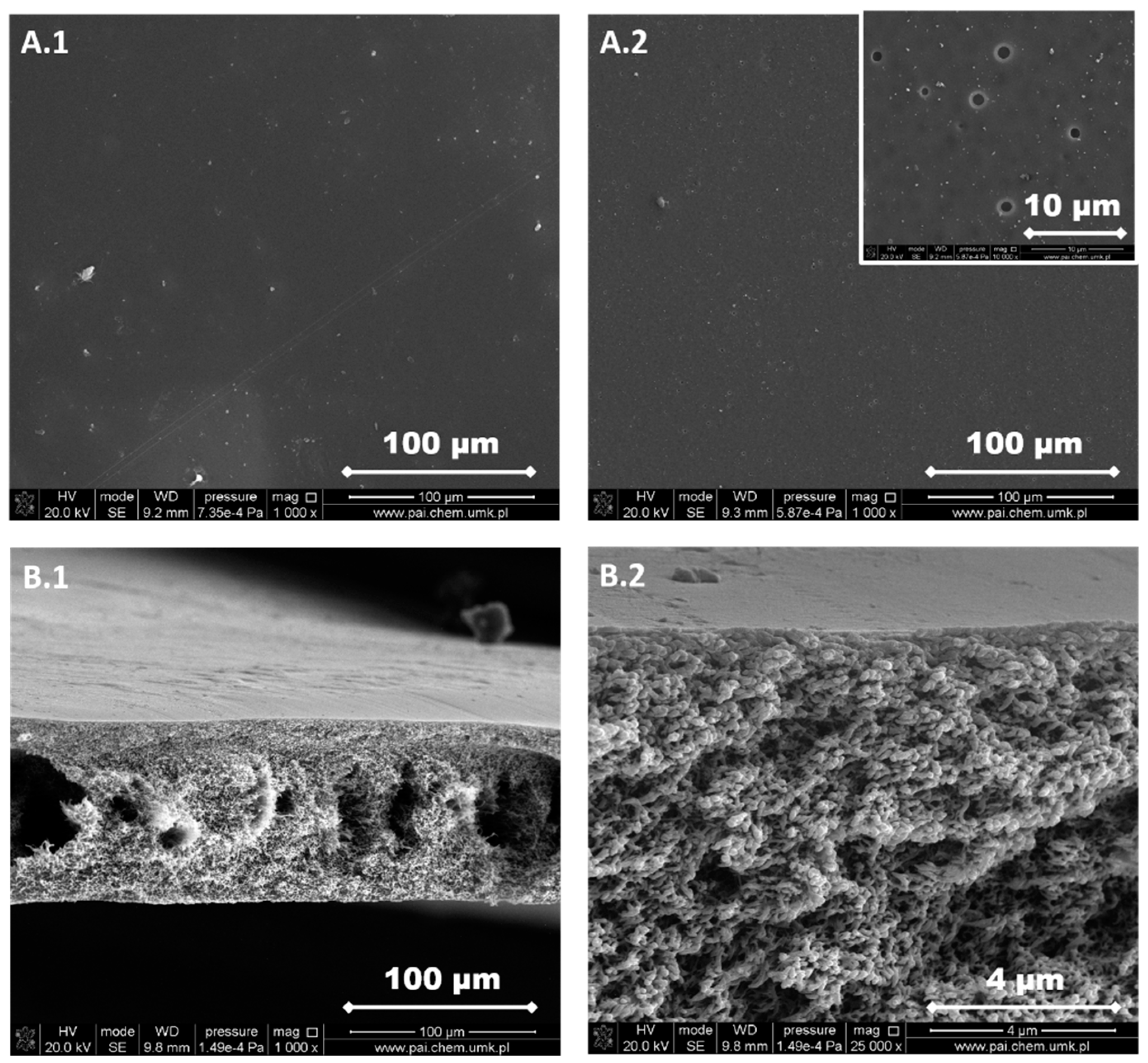 Preparation and Characterization of Polyphenylsulfone (PPSU) Membranes ...