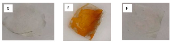 Improving Sodium Alginate Films Properties by Phenolic Acid Addition