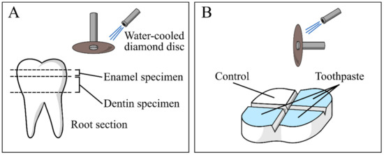 Materials | Free Full-Text | Characterization of a Toothpaste ...