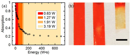 Photo-Mechanical Response Dynamics of Liquid Crystal Elastomer Linear ...