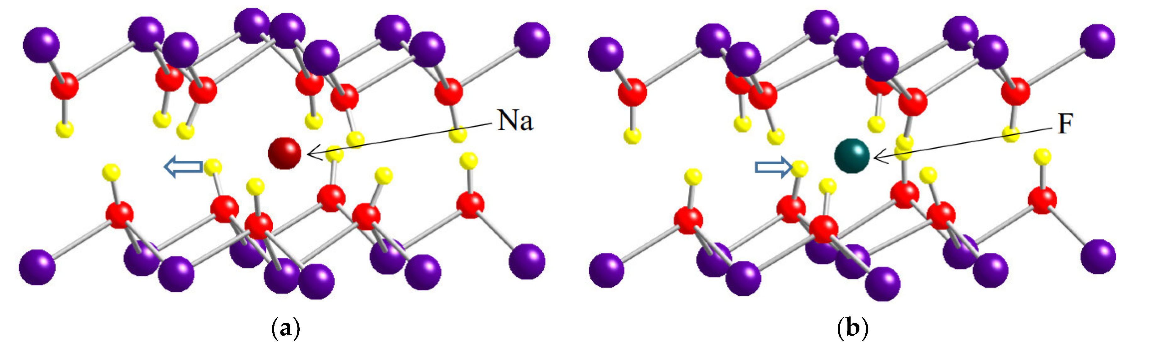 Impurity Doping in Mg(OH)2 for n-Type and p-Type Conductivity Control