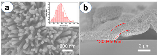 1D Titanium Dioxide: Achievements in Chemical Sensing