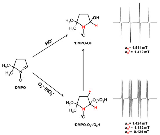 Graphitic Carbon Nitride for Photocatalytic Air Treatment