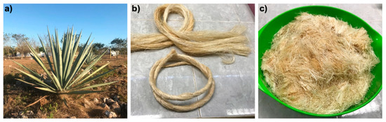 Mechanical Properties of Natural Fiber Reinforced Foamed Concrete