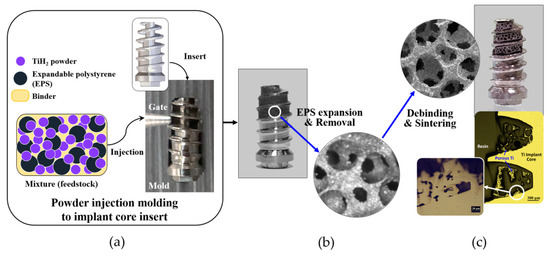 Enhancement of Bone Ingrowth into a Porous Titanium Structure to ...