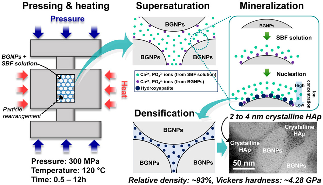 Materials | Free Full-Text | Crystallization Behavior of the Low ...