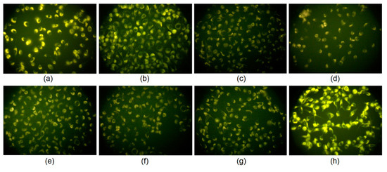 Facile Synthesis of Surface-Modified Carbon Quantum Dots (CQDs) for ...