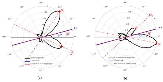 Characterization of Microcrack Orientation Using the Directivity of ...