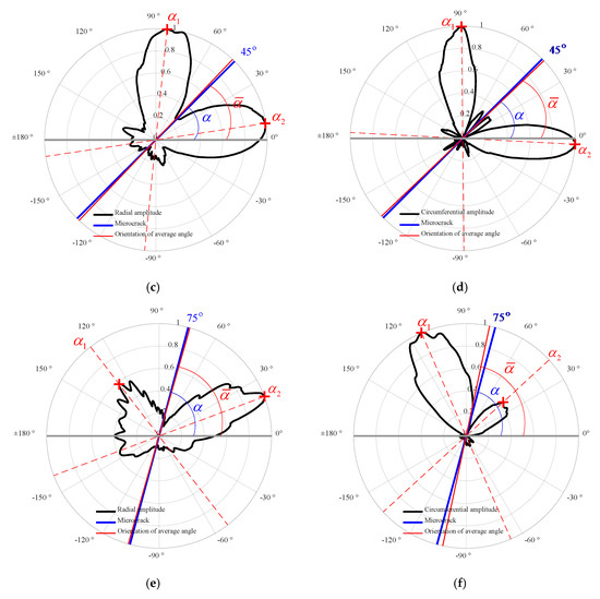 Characterization of Microcrack Orientation Using the Directivity of ...