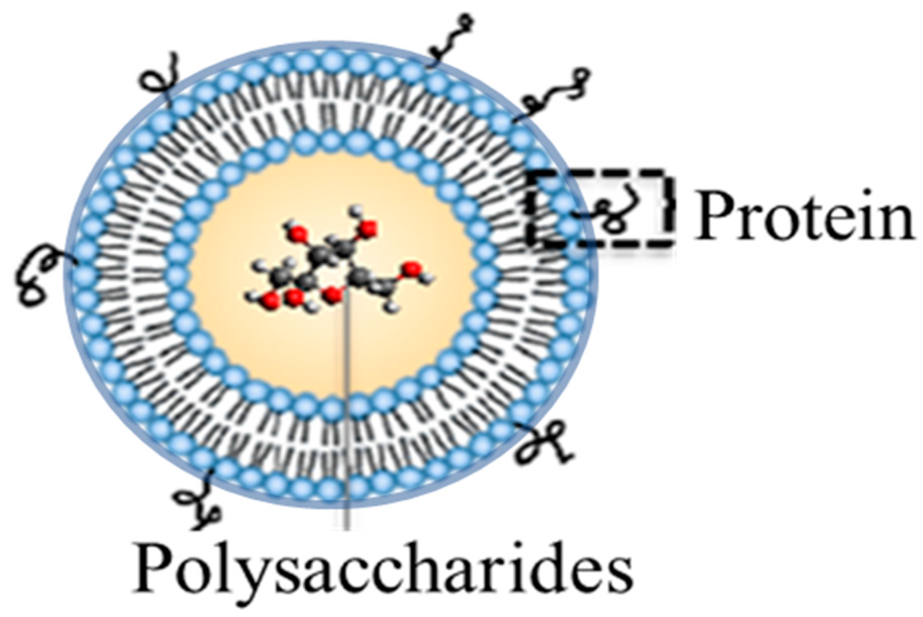 Extended Polysaccharide Analysis within the Liposomal Encapsulation of ...