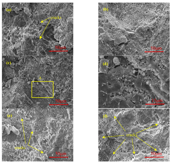 Study on the Sulfuration Mechanism of Concrete: Microstructure and ...