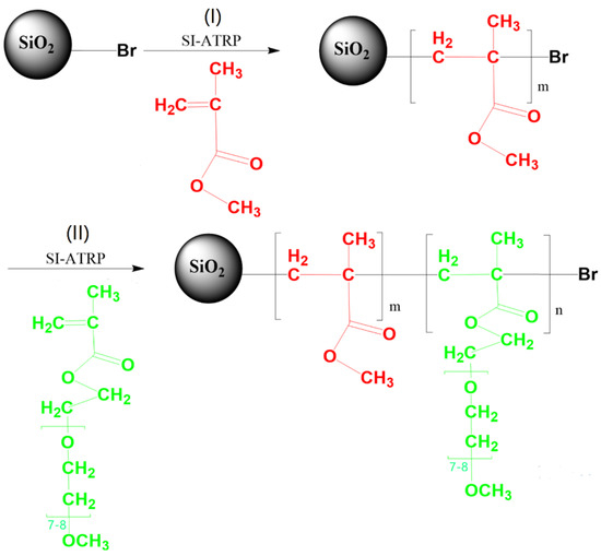 Preparation and Performance of Silica-di-Block Polymer Hybrids for BSA ...
