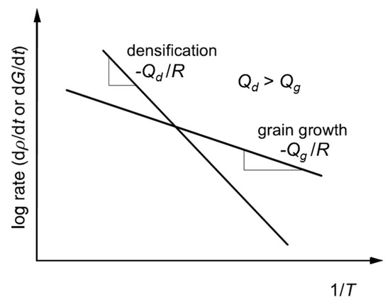 What We Should Consider for Full Densification when Sintering