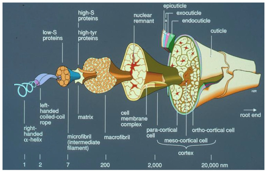 Wool-Reinforced Cement Based Composites