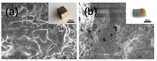 Microstructure and Composition Evolution of a Fused Slurry Silicide ...