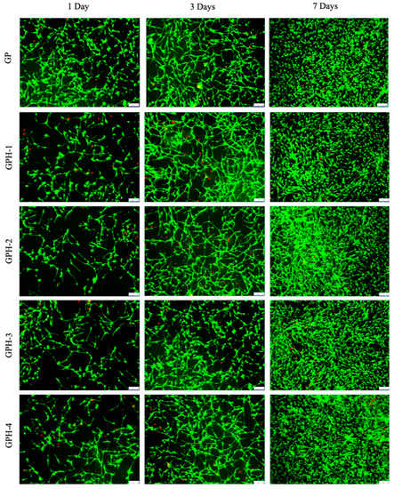A GelMA-PEGDA-nHA Composite Hydrogel for Bone Tissue Engineering