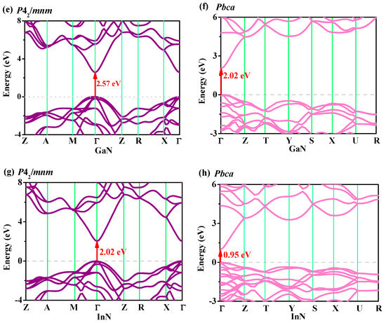 Novel III-V Nitride Polymorphs in the P42/mnm and Pbca Phases