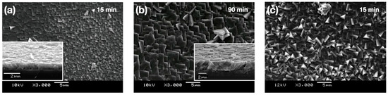 Stabilized Amorphous Calcium Carbonate as a Precursor of Microcoating ...