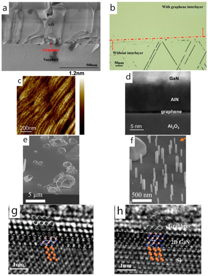 Van der Waals Epitaxy of III-Nitrides and Its Applications