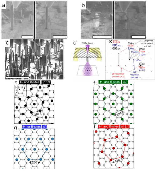 Van der Waals Epitaxy of III-Nitrides and Its Applications