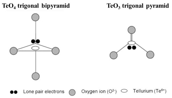 Radiation-Induced Defects and Effects in Germanate and Tellurite Glasses