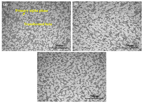 Effect of Oxygen Variation on High Cycle Fatigue Behavior of Ti-6Al-4V Titanium Alloy