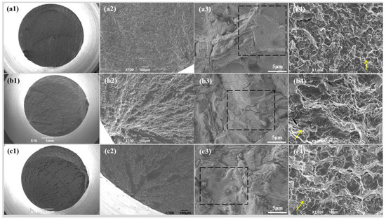 Effect of Oxygen Variation on High Cycle Fatigue Behavior of Ti-6Al-4V Titanium Alloy