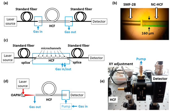 Laser-Based Trace Gas Detection inside Hollow-Core Fibers: A Review