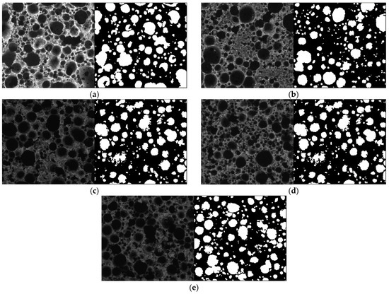 Pore Structure Characteristics of Foam Composite with Active Carbon