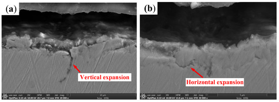 Experimental Study on the Skidding Damage of a Cylindrical Roller Bearing